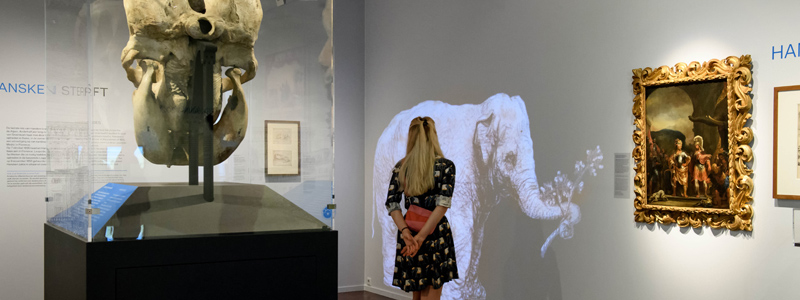 Hansken. Rembrandts olifant - Rembrandthuis
