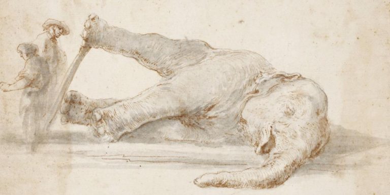 Hansken, Rembrandt's Elephant - Rembrandthuis